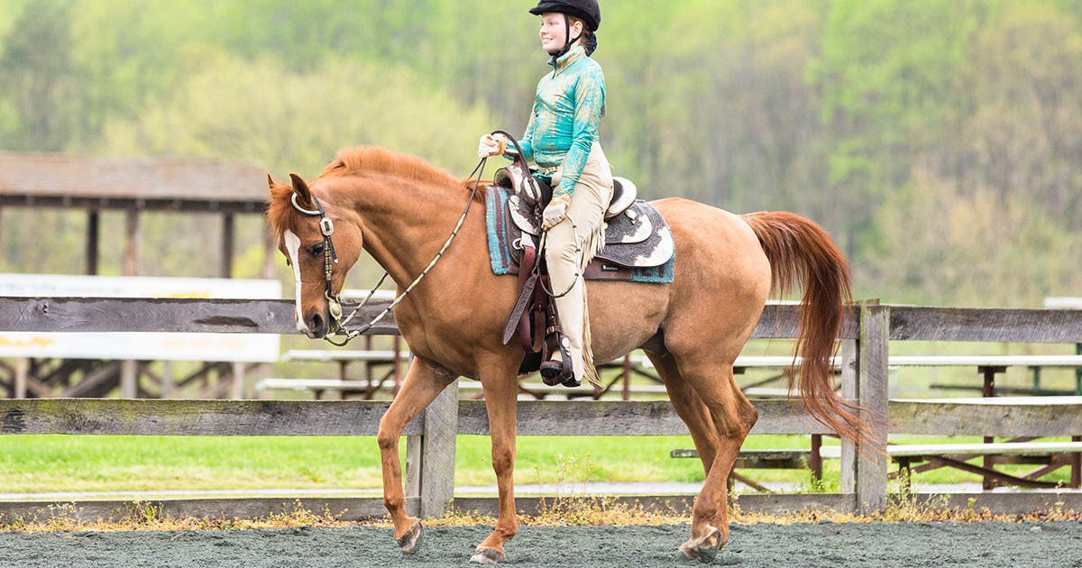 2017 BRAHA Spring Show Photographs - Entice Design